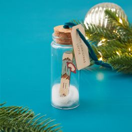 Alpine Christmas tree decoration | Snowboard message bottle gift